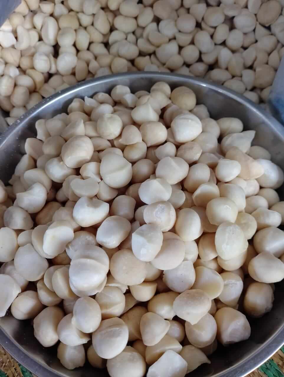 Hạt macca Maccaca giá tốt - Sỉ và lẻ toàn quốc